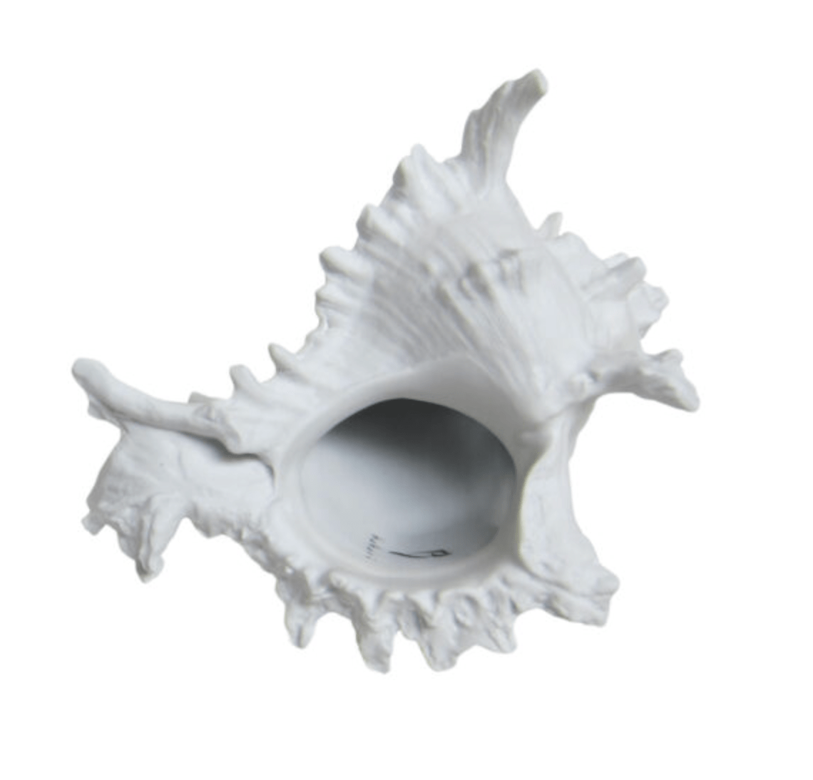 Porcelain Shell – Anderson's Nantucket